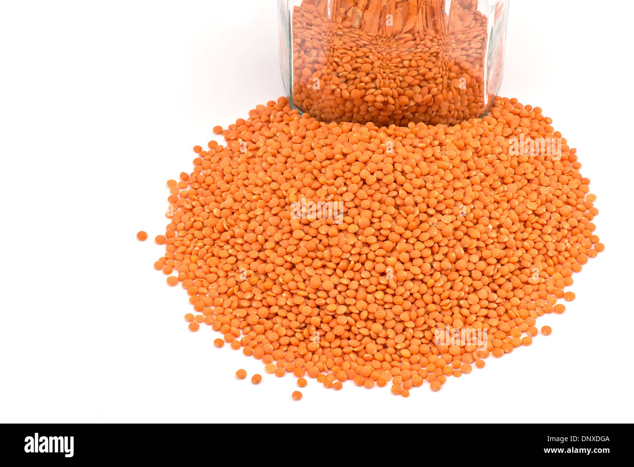 Lentils plant hi-res stock photography and images - Alamy