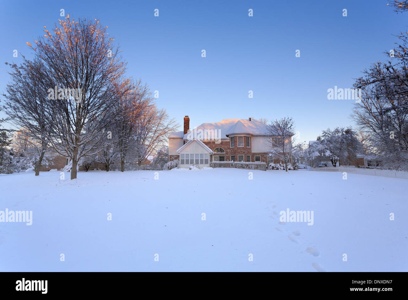 Usa snowscape with trees hi-res stock photography and images - Alamy