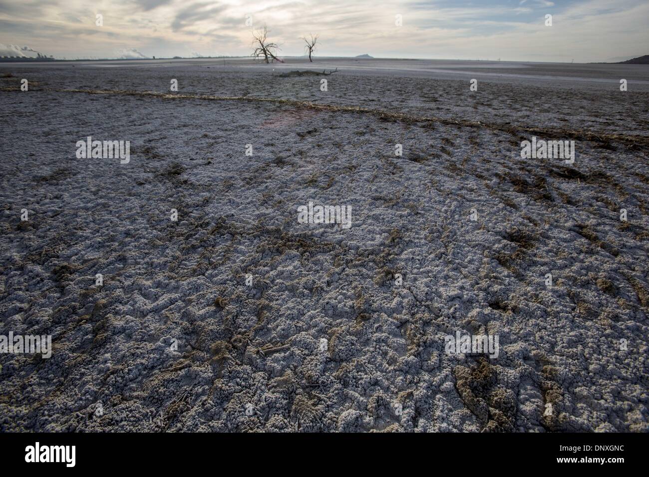 Los Angeles, California, USA. 4th Jan, 2014. Mud is encrusted with salt ...