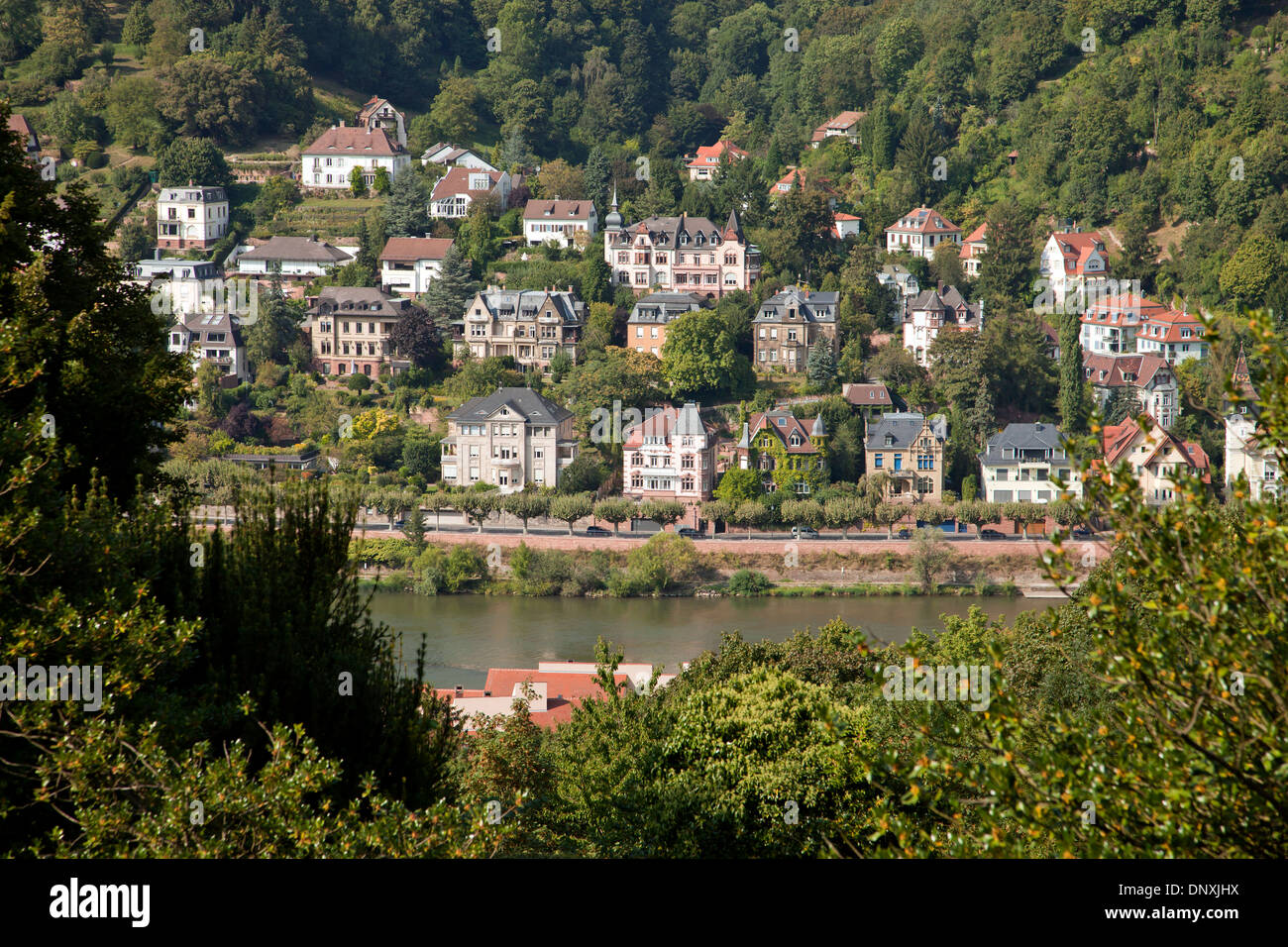homes and the river Neckar in Heidelberg, Baden-Württemberg, Germany ...