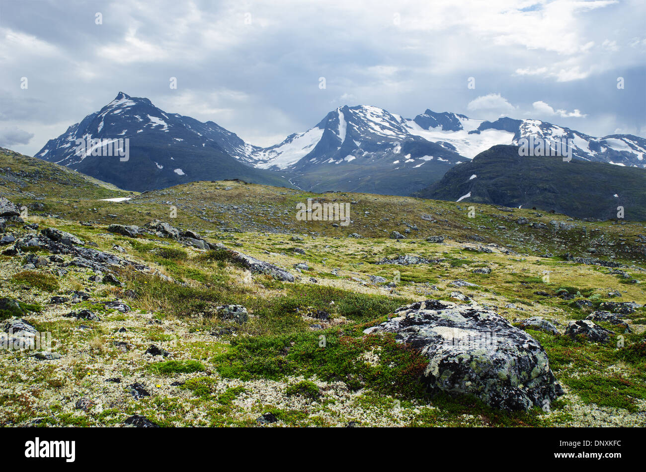 Mountain landscape in Jotunheimen National Park in Norway Stock Photo ...