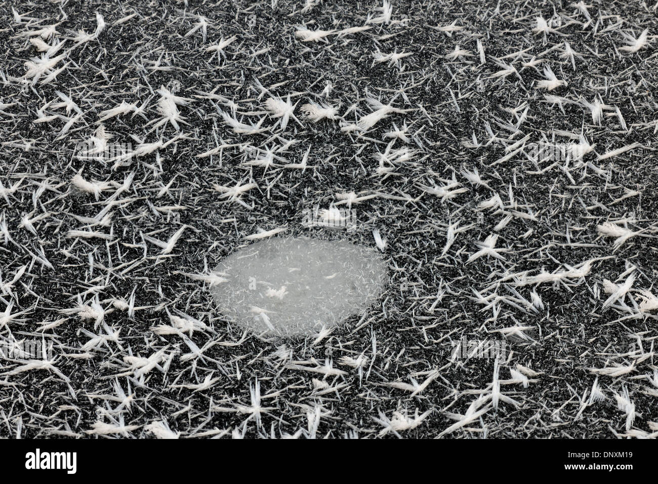 Ice patterns beaver pond hi-res stock photography and images - Alamy