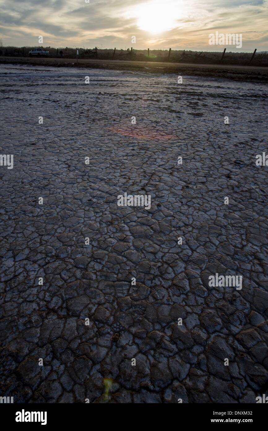 Los Angeles, California, USA. 4th Jan, 2014. Mud is encrusted with salt ...