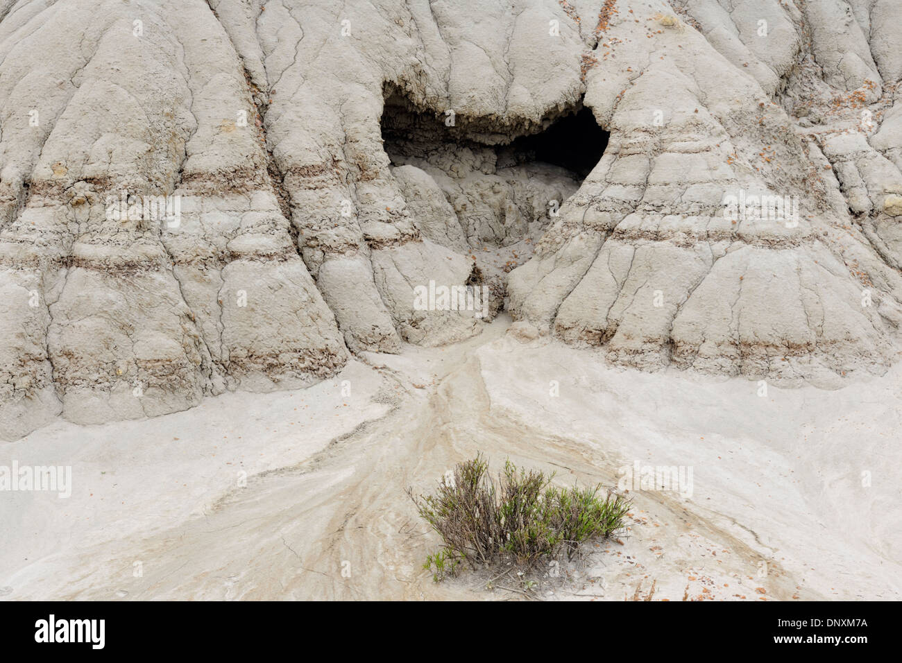 Erosion features with sage and Rabbitbrush shrubs, Theodore Roosevelt ...