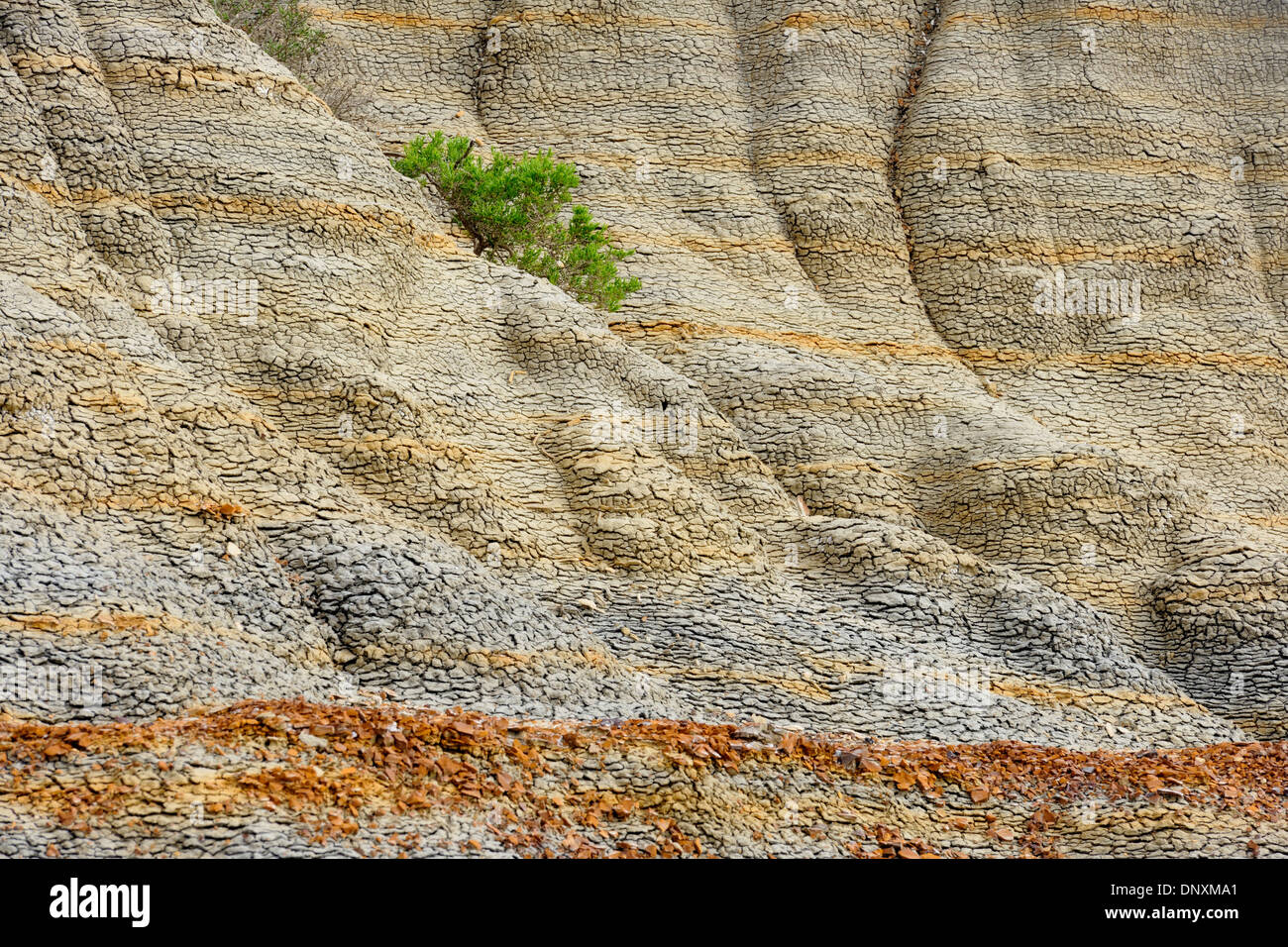 Eroded features in badlands mudstones and bentonite with sage and ...