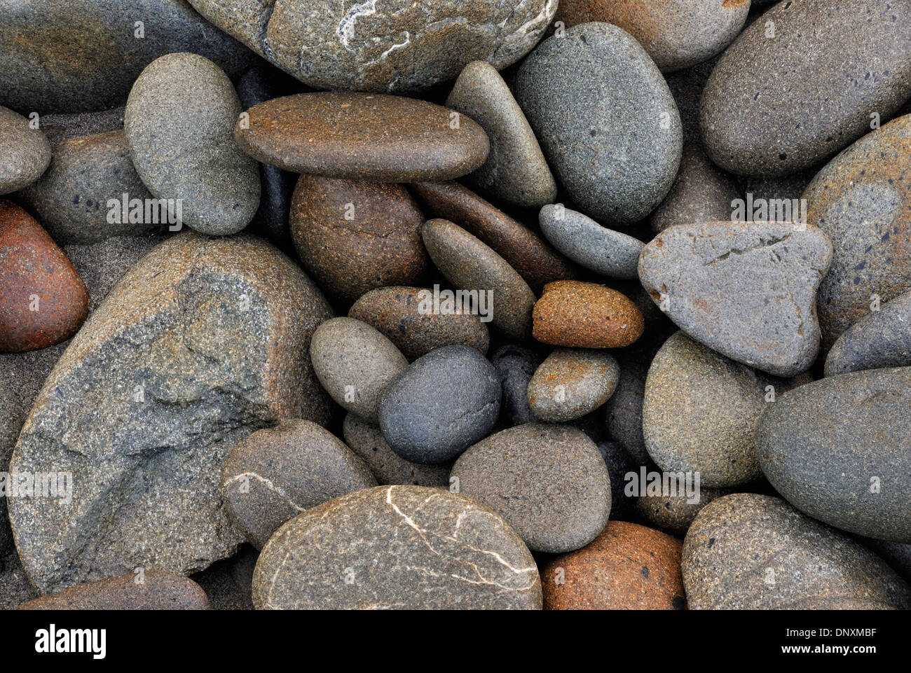 Beach stones at olympic national park hi-res stock photography and ...