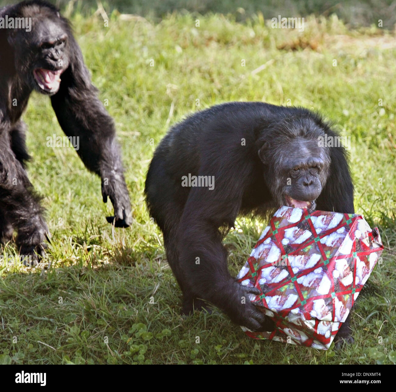 Carrying goodies hi-res stock photography and images - Alamy