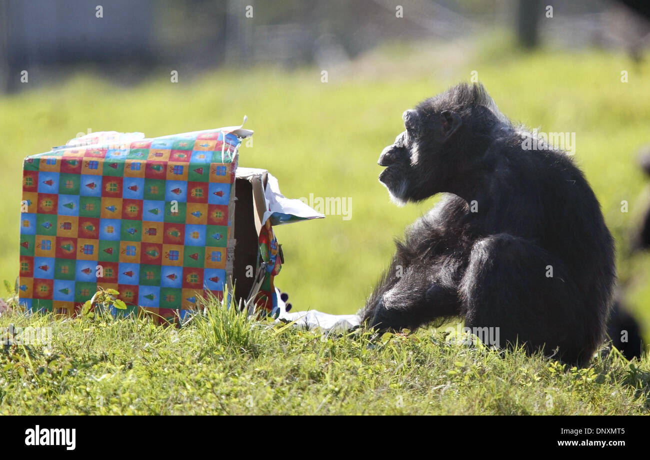 Chimp chips hi-res stock photography and images - Alamy