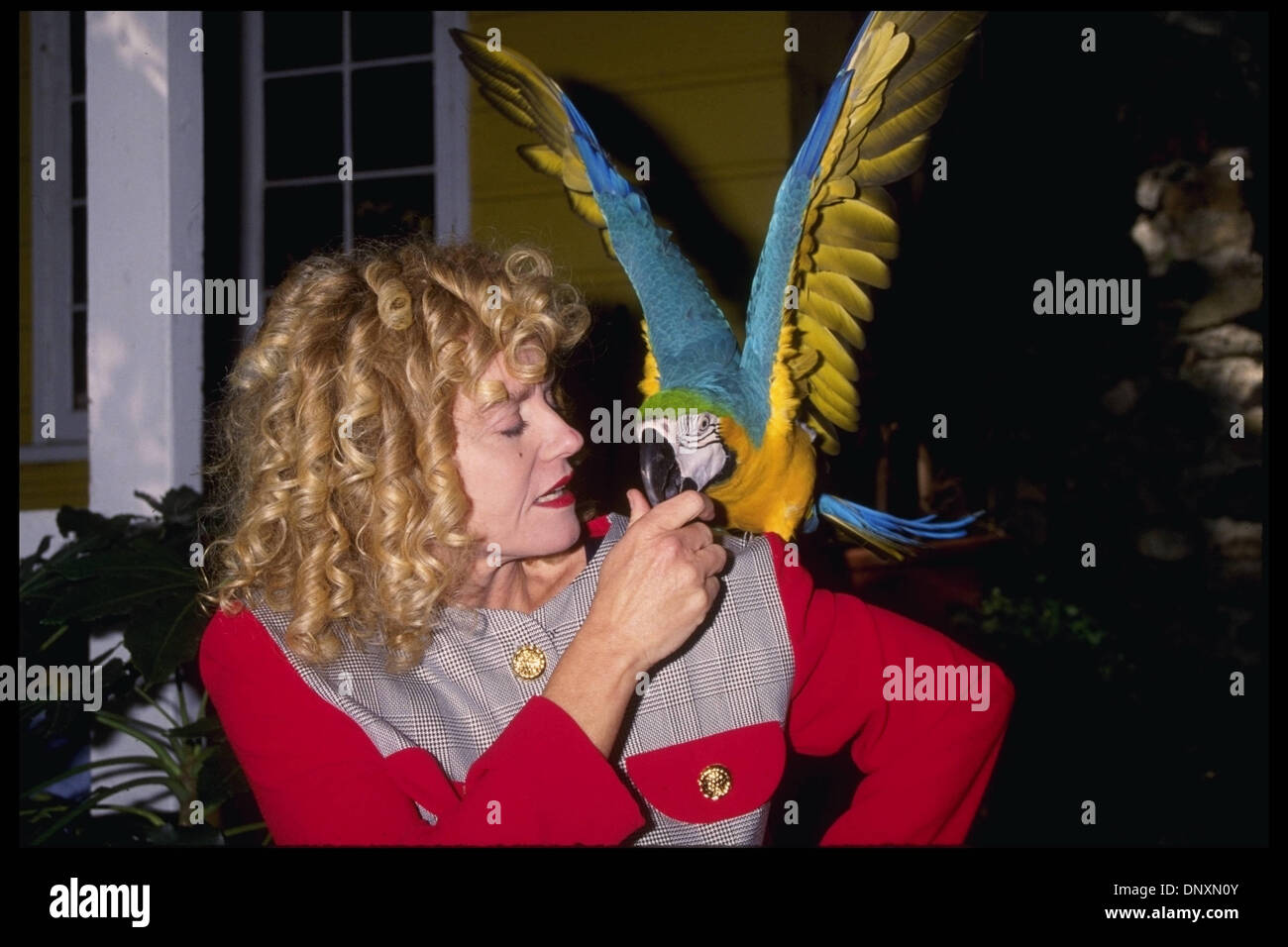 Sharon farrell hi-res stock photography and images - Alamy
