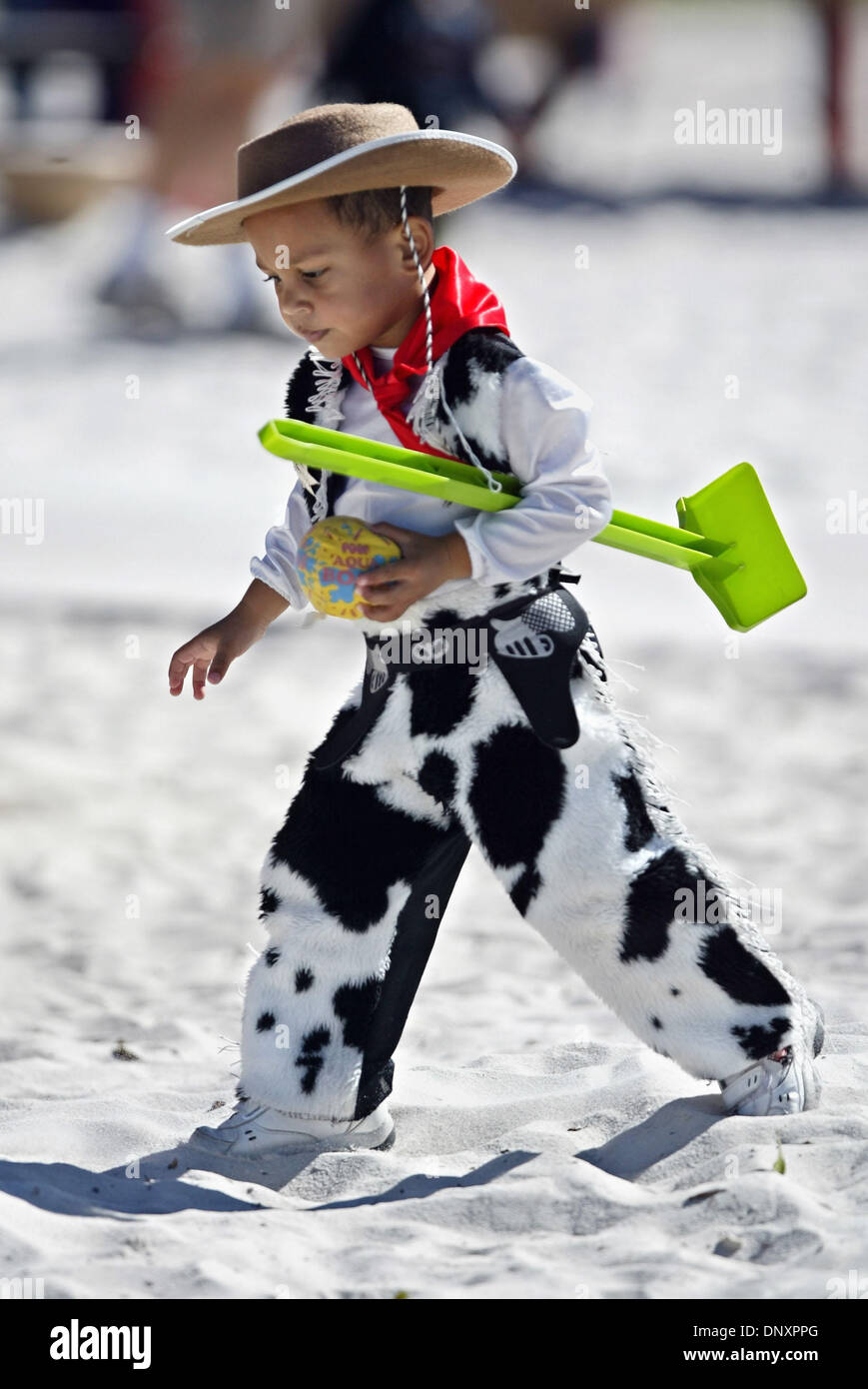 Andrea palm hi-res stock photography and images - Alamy