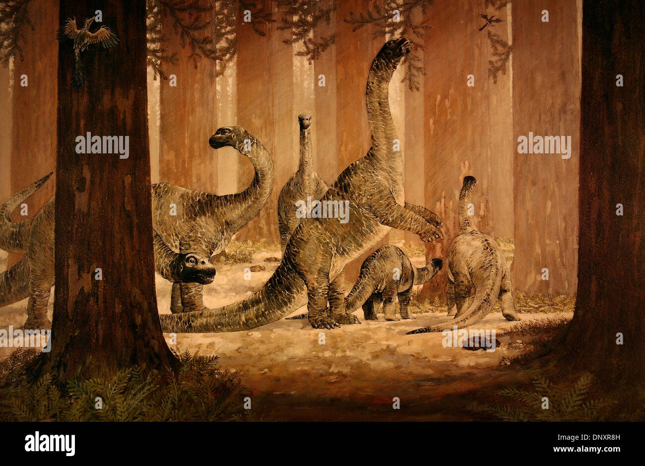 Naturalis hi-res stock photography and images - Alamy