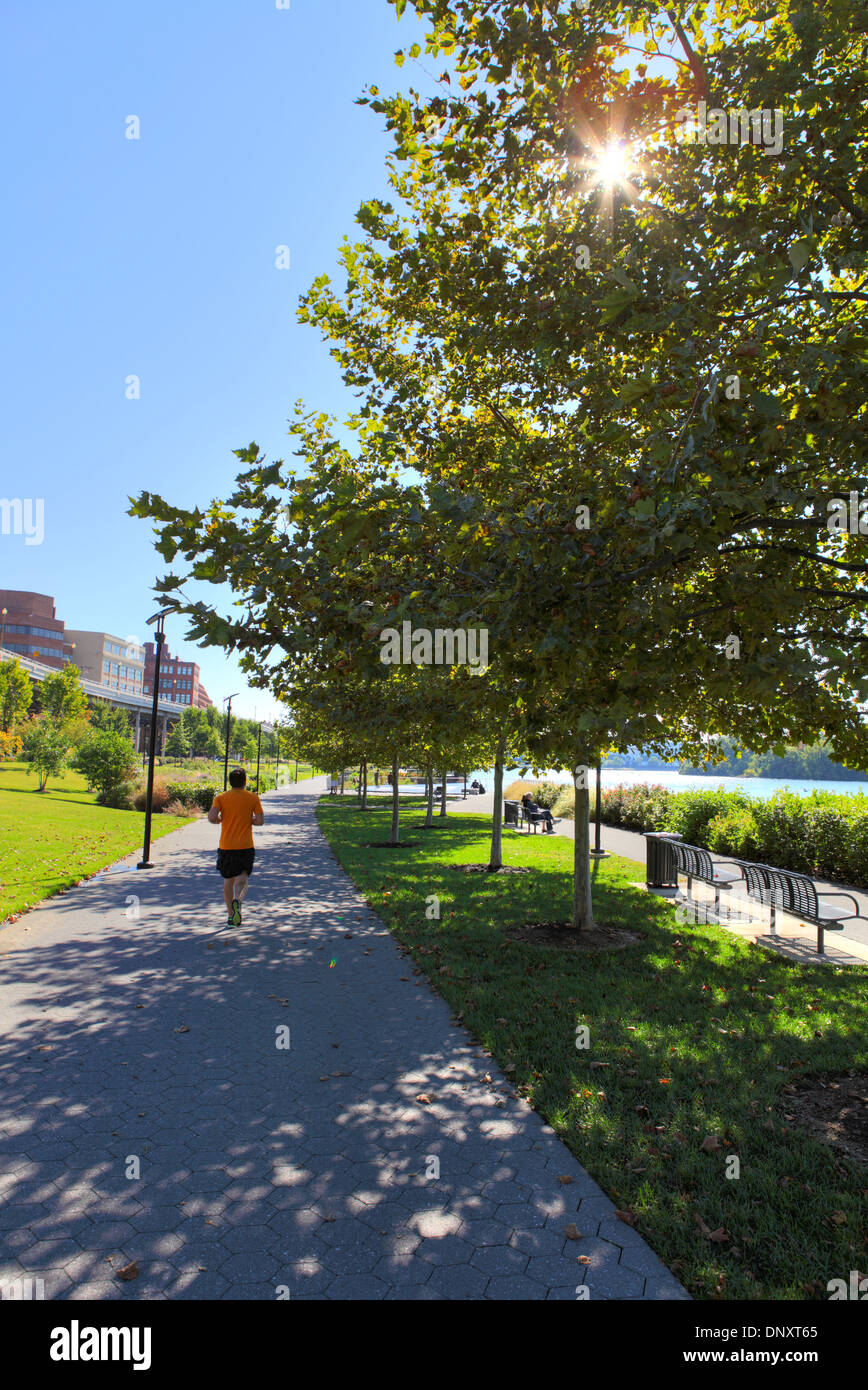 Person jogging in the park, Washington D.C., USA Stock Photo - Alamy