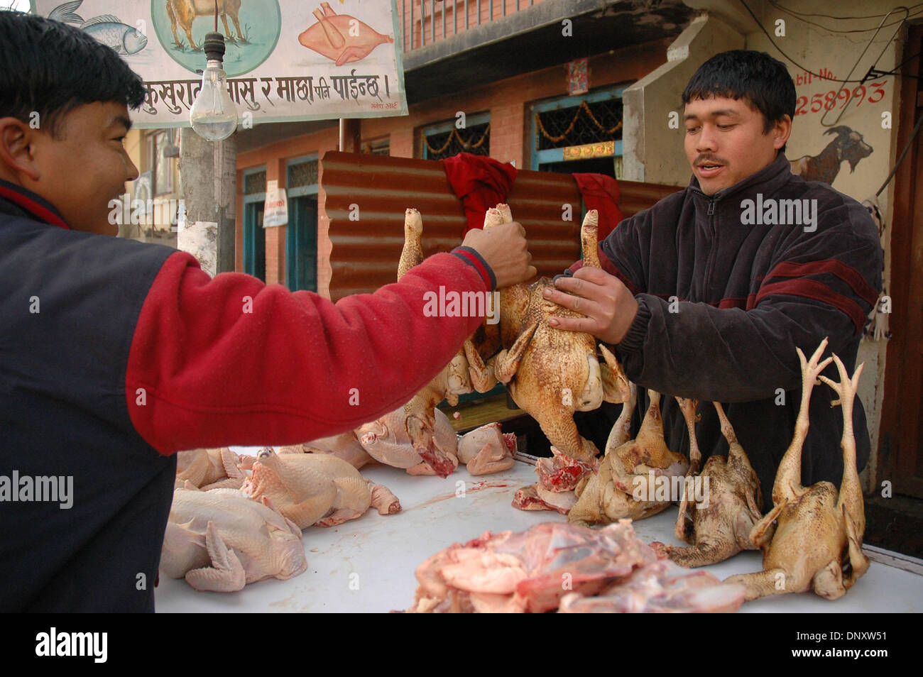 Jan 02, 2006; Jorpati, Kathmandu, NEPAL; Local chickens market: After ...