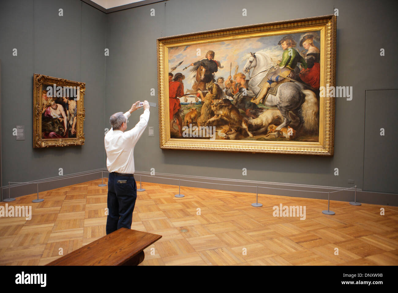 Wolf and fox Hunt by Rubens at Metropolitan Museum, New York City, USA ...