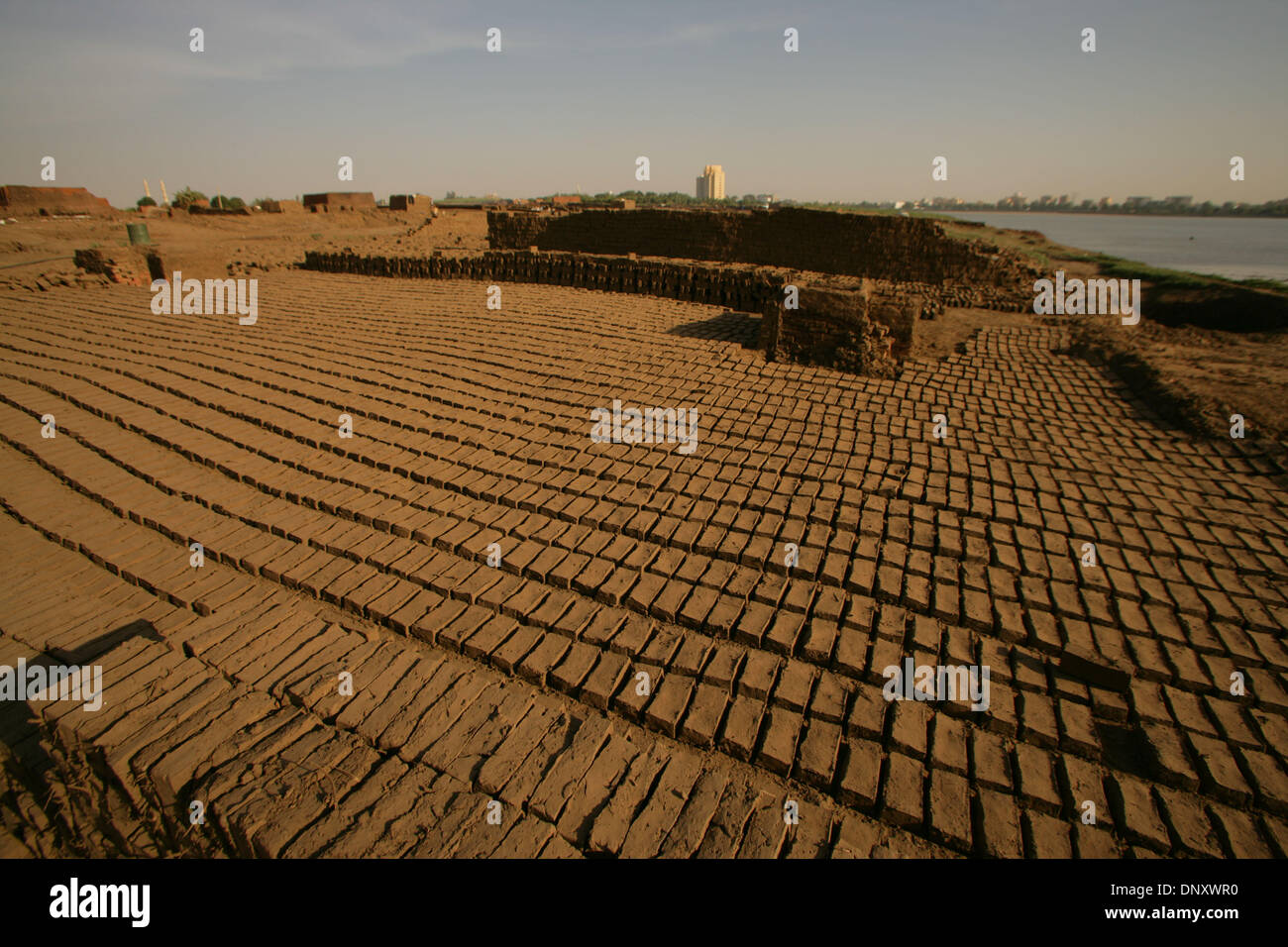 Dung bricks hi-res stock photography and images - Alamy