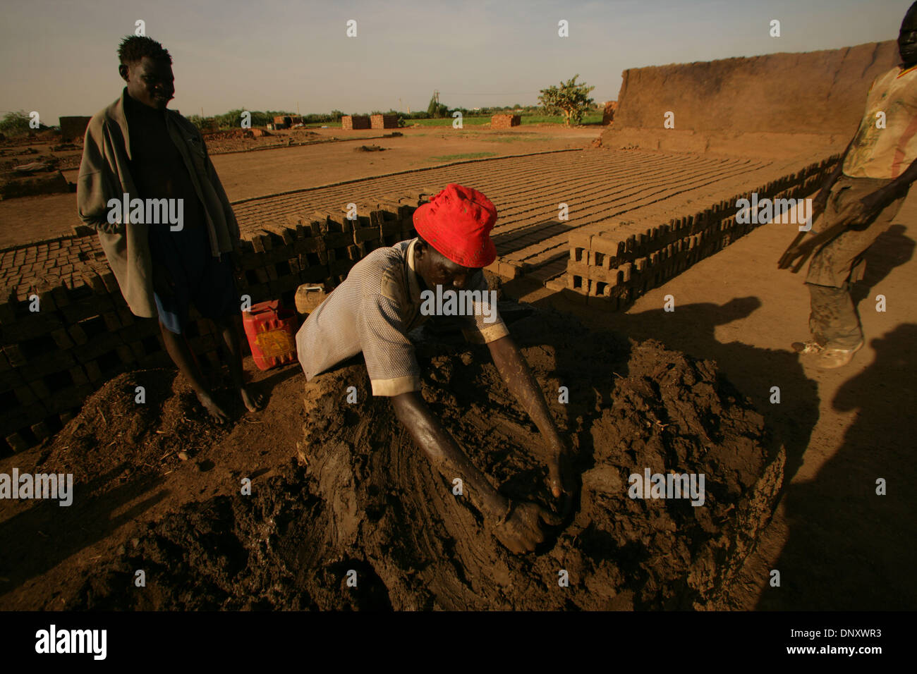Dung bricks hi-res stock photography and images - Alamy