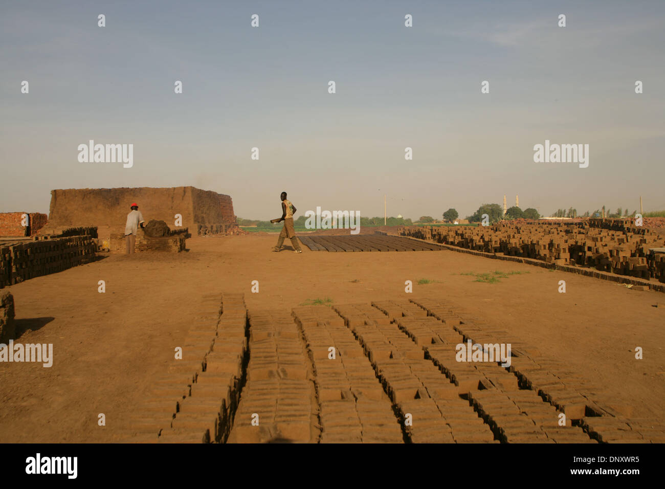 Dung bricks hi-res stock photography and images - Alamy