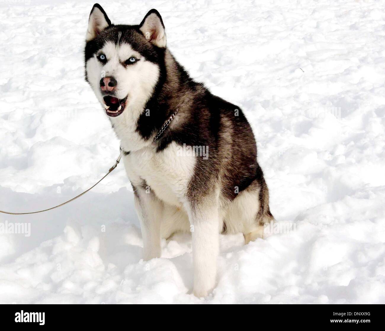 Eight below max hi-res stock photography and images - Alamy