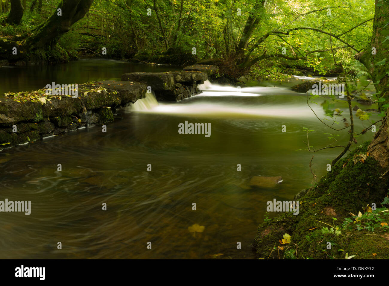 Nant pandy hi-res stock photography and images - Alamy