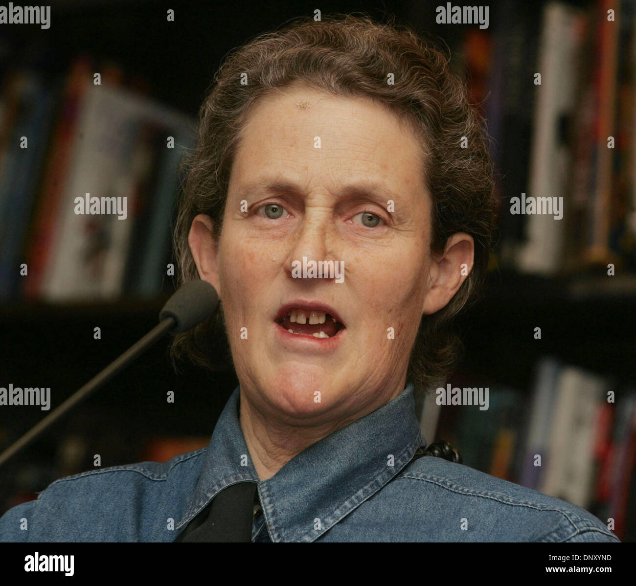 Grandin animals hi-res stock photography and images - Alamy