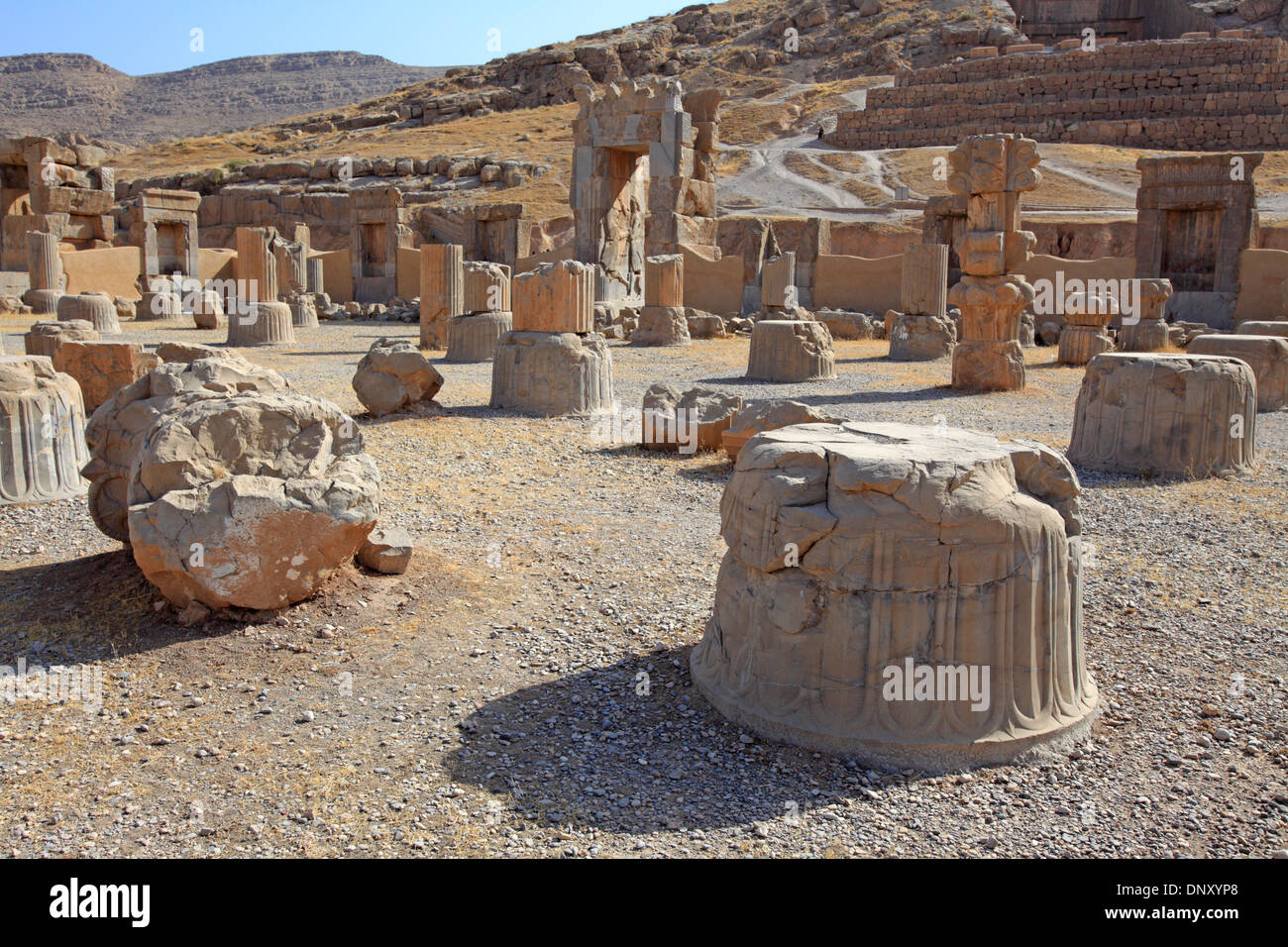 Ruins of the Hall of 100 columns, Persepolis, Iran Stock Photo - Alamy