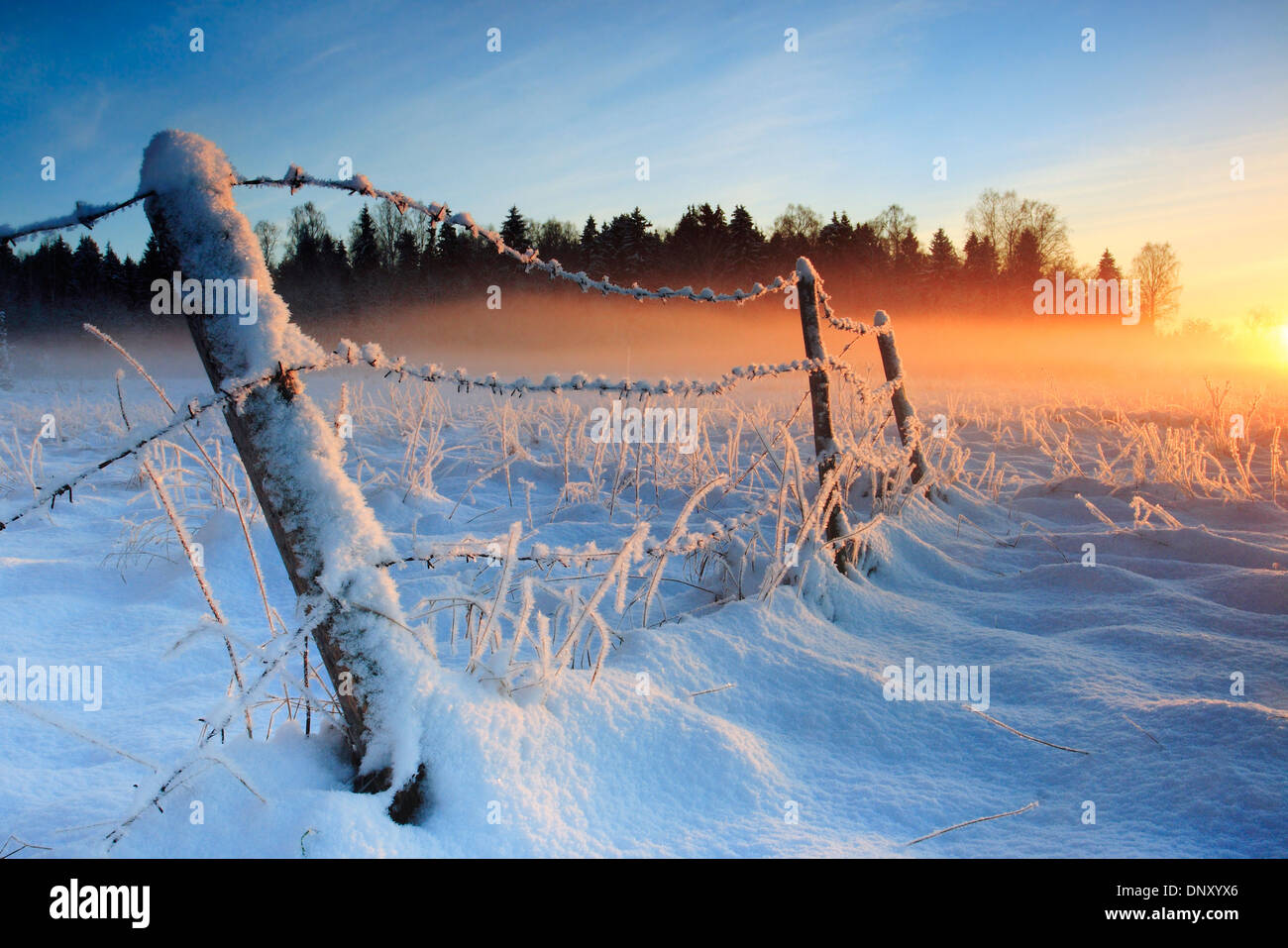 Warm cold winter sunset last rays of setting sun coloring the fog ...