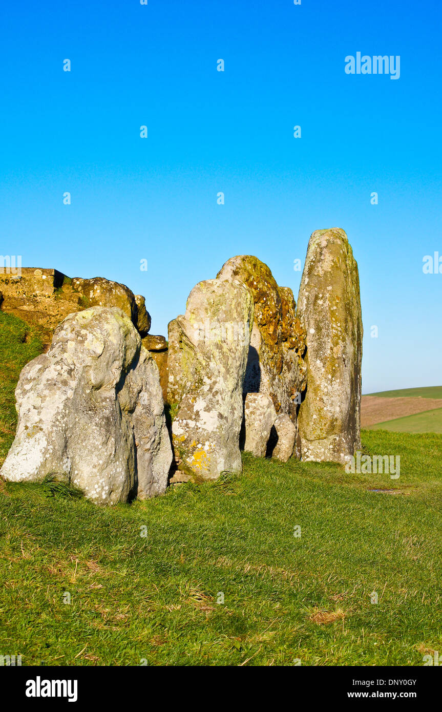 Sarsen field hi-res stock photography and images - Alamy
