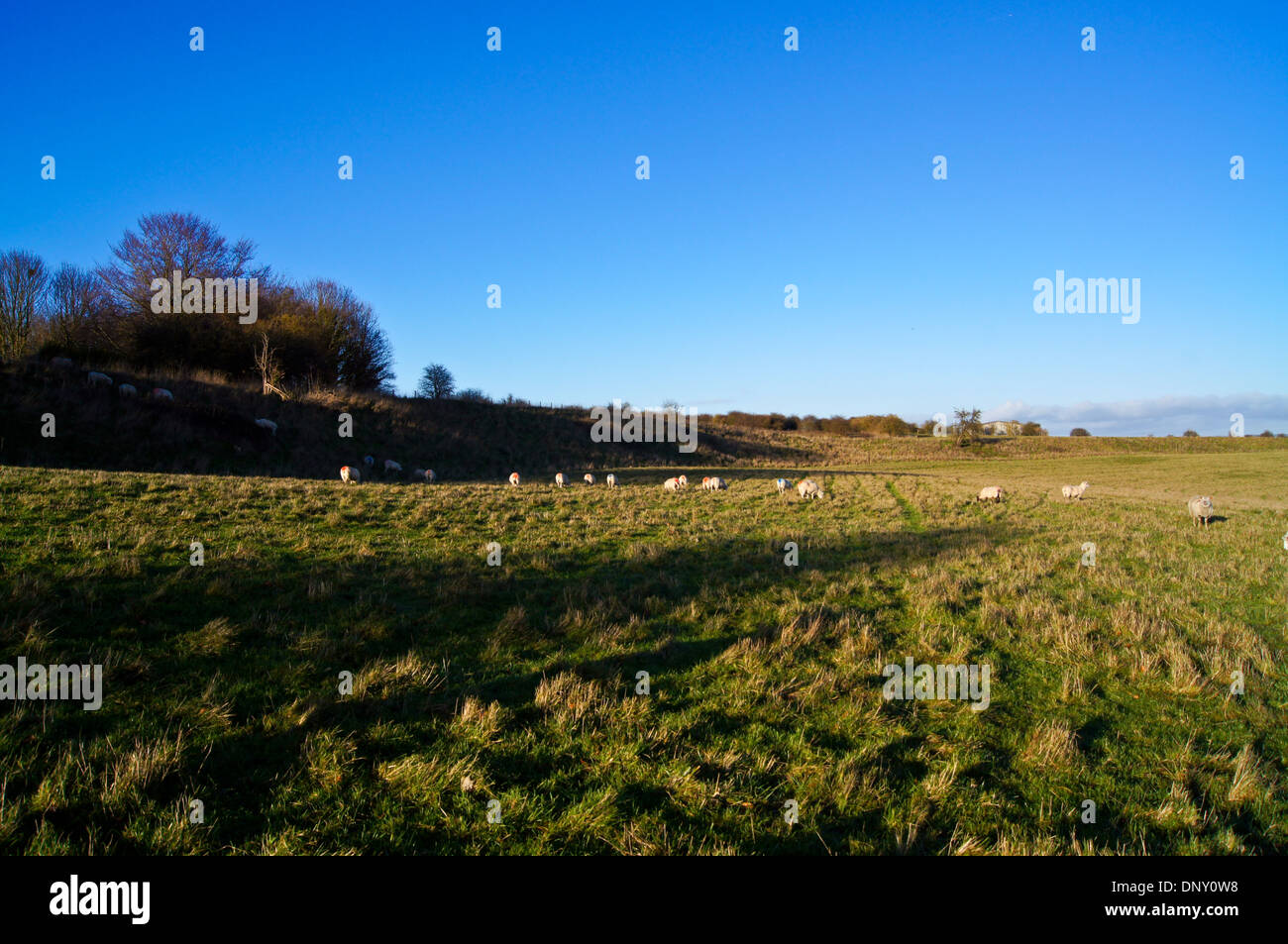 Durrington Walls neolithic henge enclosure, Wiltshire, England Stock ... Durrington Walls neolithic henge enclosure, Wiltshire, England Stock ...