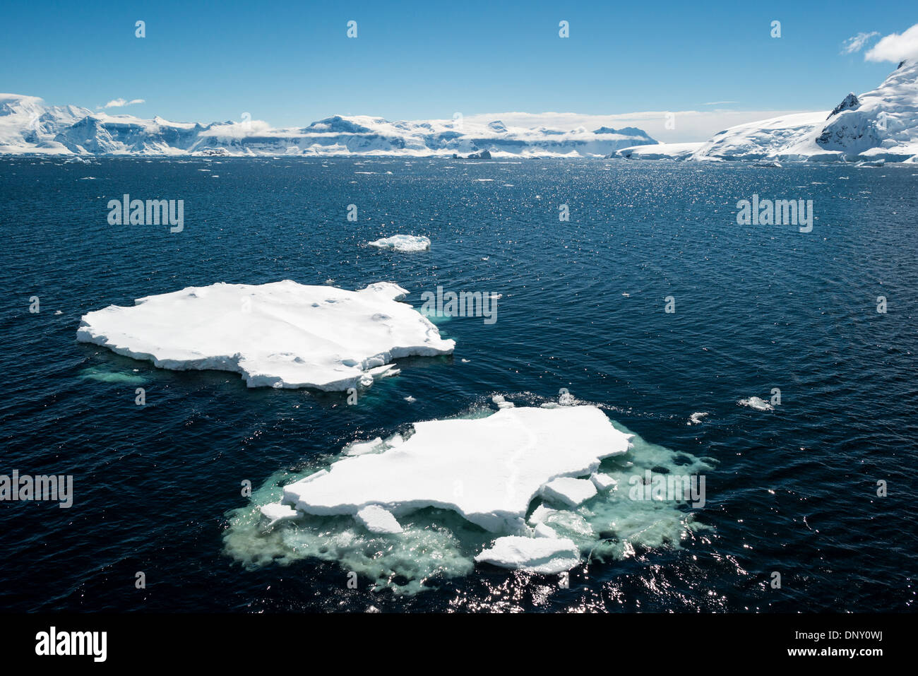 Sea Ice Antarctic Peninsula // Two sheets of sea ice float on the water ...