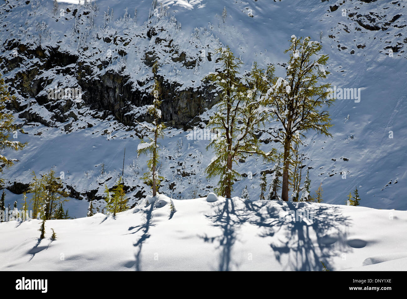 WASHINGTON - Snow covered side of Frisco Mountain from the Maple Pass ...