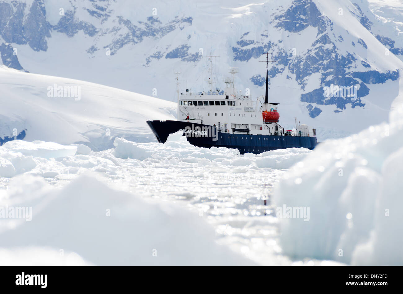 Polar Pioneer Ship Icebergs Neko Harbour Antarctica // NEKO HARBOUR ...