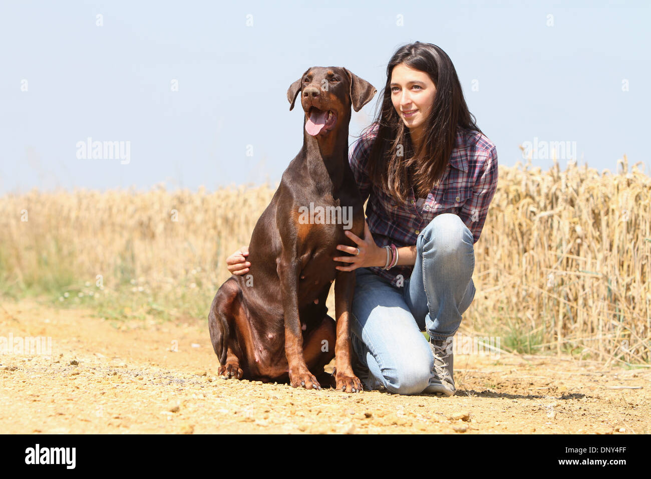 Dog Dobermann / Doberman Pinscher adult with a girl Stock Photo - Alamy