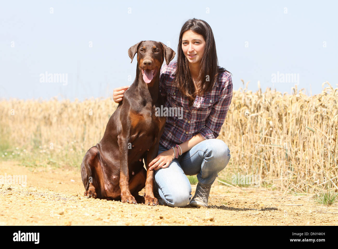 Dog Dobermann / Doberman Pinscher adult with a girl Stock Photo - Alamy
