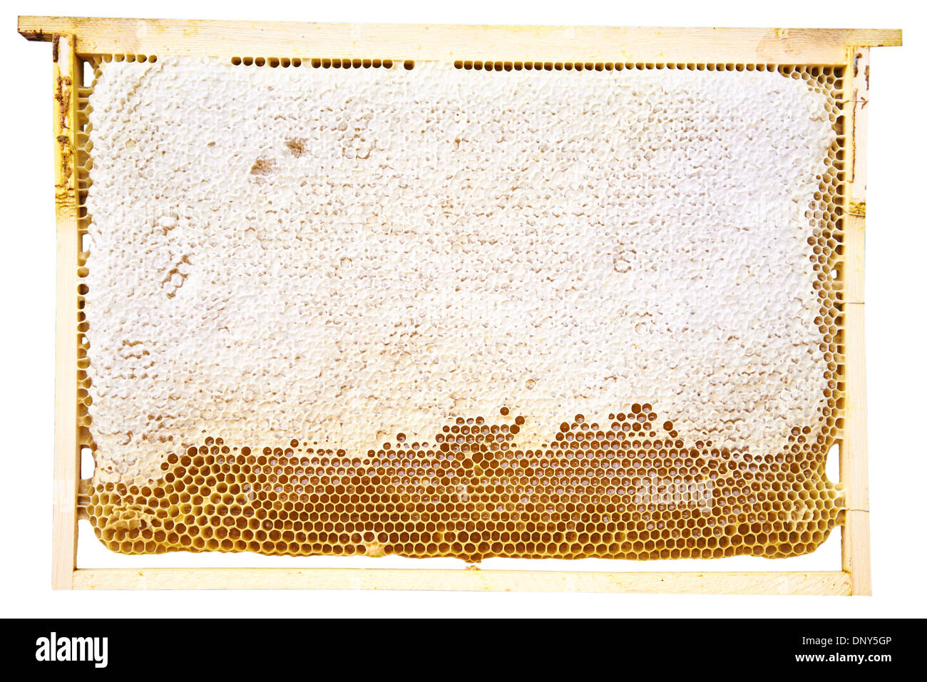 Honey structure hi-res stock photography and images - Alamy