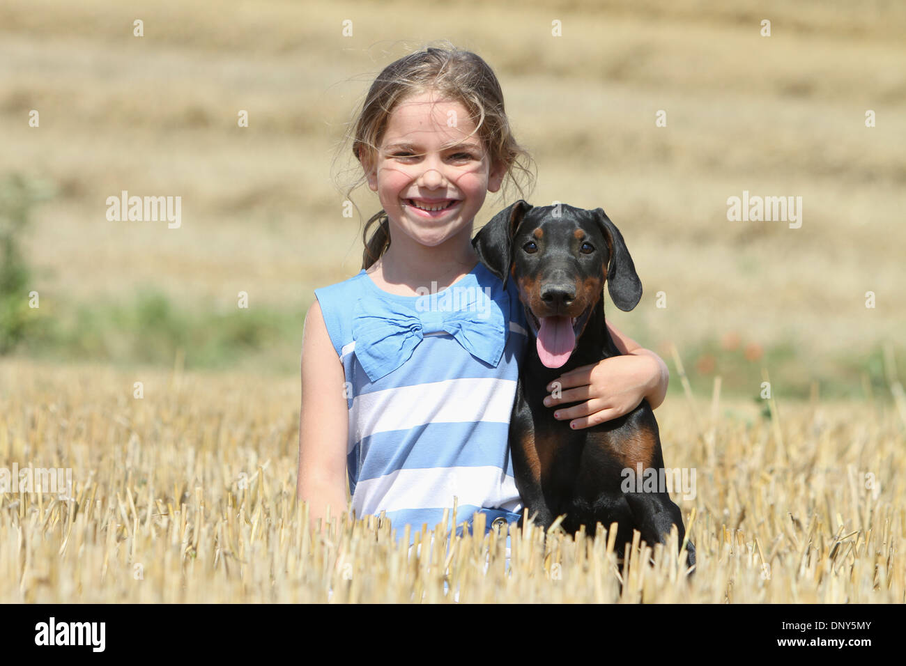 Dog Dobermann / Doberman Pinscher puppy with a girl Stock Photo - Alamy