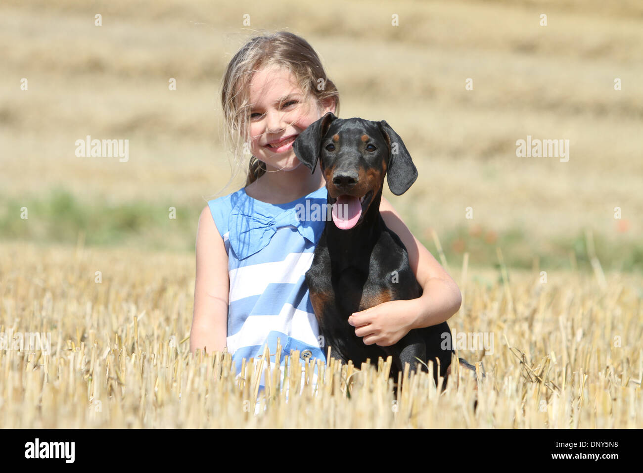 Dog Dobermann / Doberman Pinscher puppy with a girl Stock Photo - Alamy