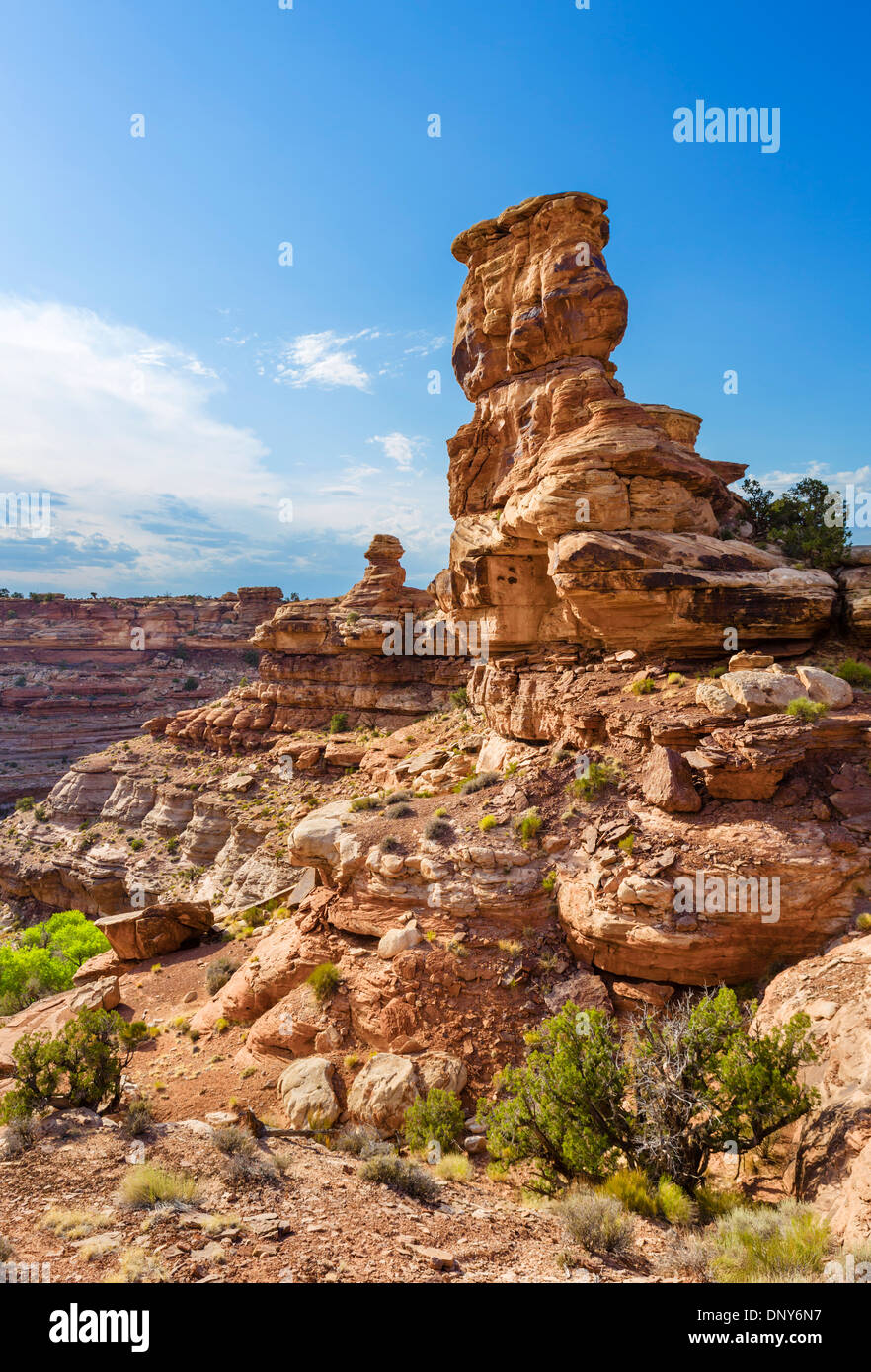Big Spring Canyon Overlook in The Needles section of Canyonlands ...