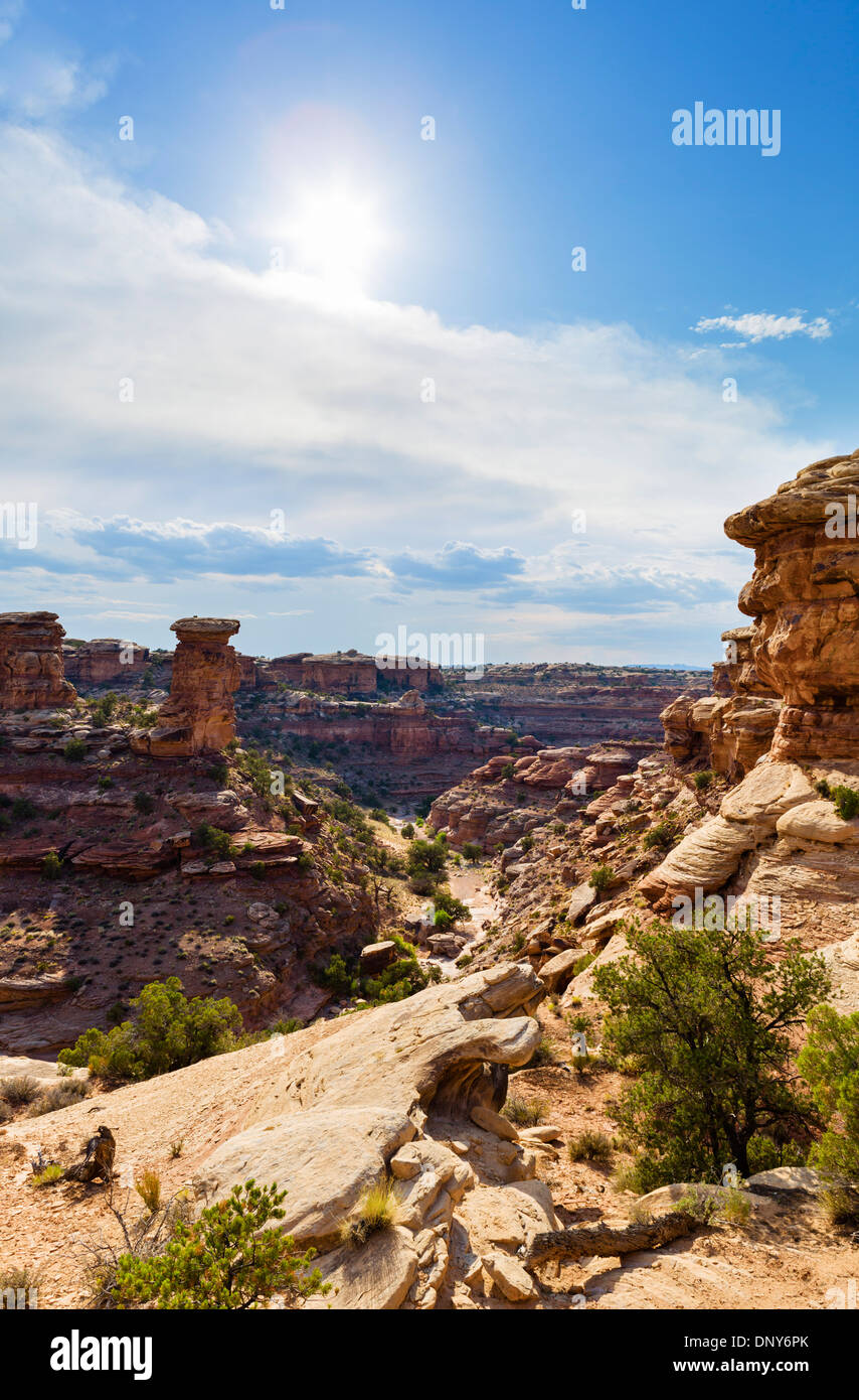 Landscape near Big Spring Canyon Overlook in The Needles section of ...