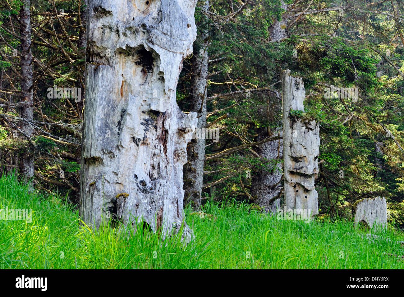 Mortuary Pole featuring a Watchman SGang Gwaay Island, Gwaii Haanas NP ...