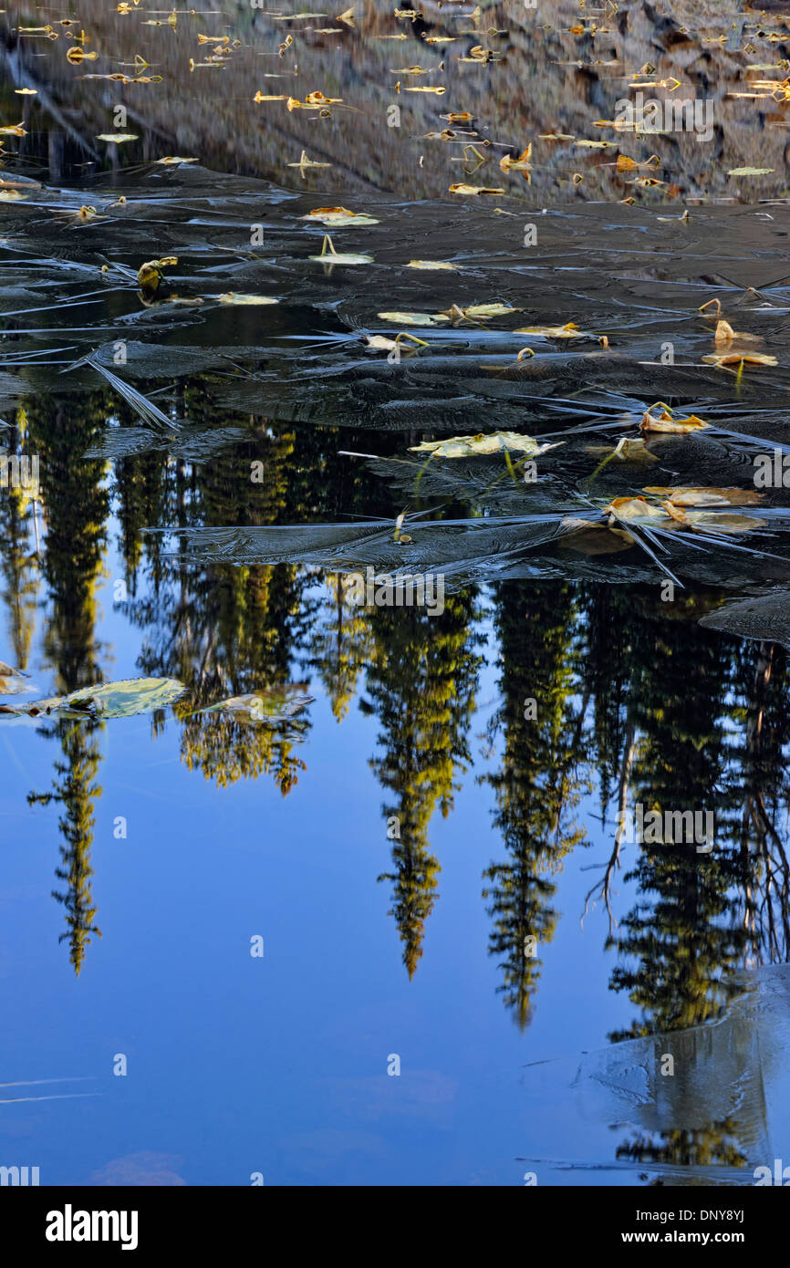 Isa lake yellowstone hi-res stock photography and images - Alamy
