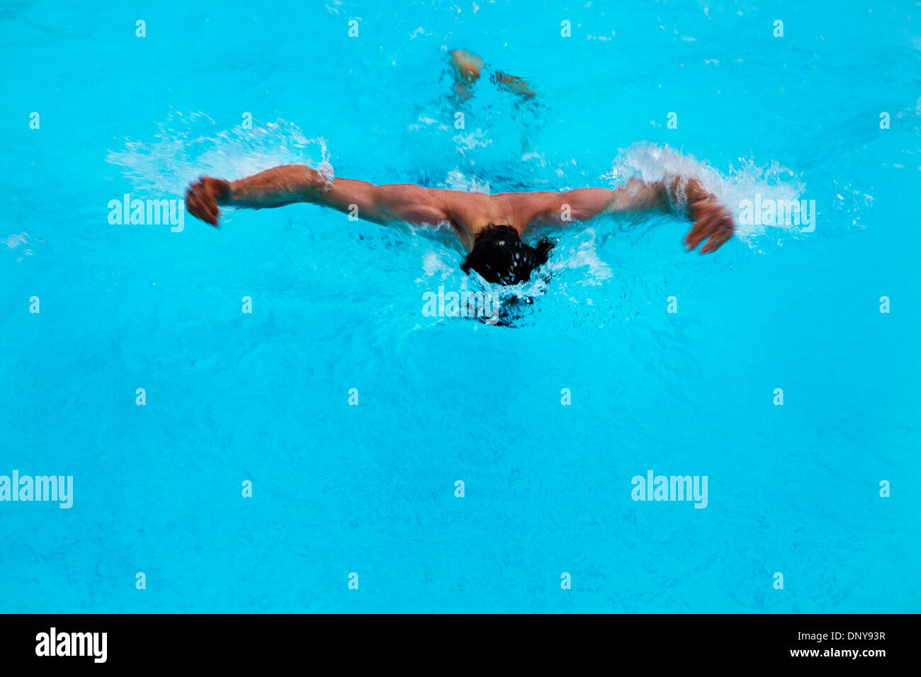 Man swimming butterfly stroke Stock Photo - Alamy