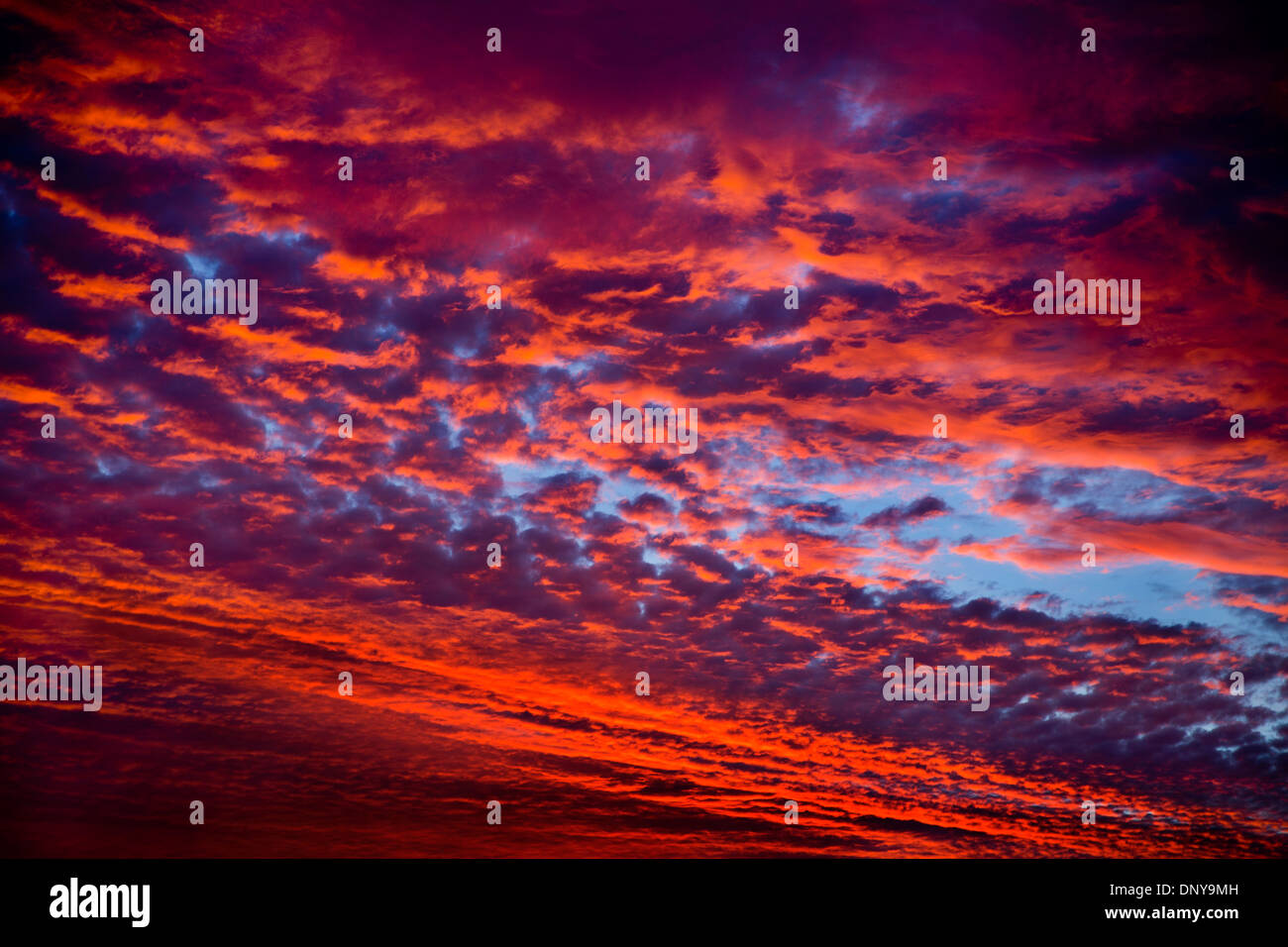 Dawn November sky, Kent, UK Stock Photo - Alamy