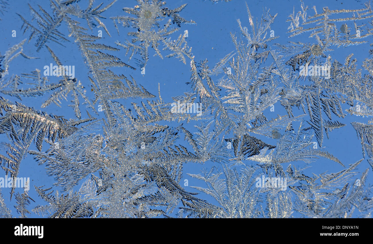 Frost feathers on a window, Greater Sudbury, Ontario, Canada Stock ...