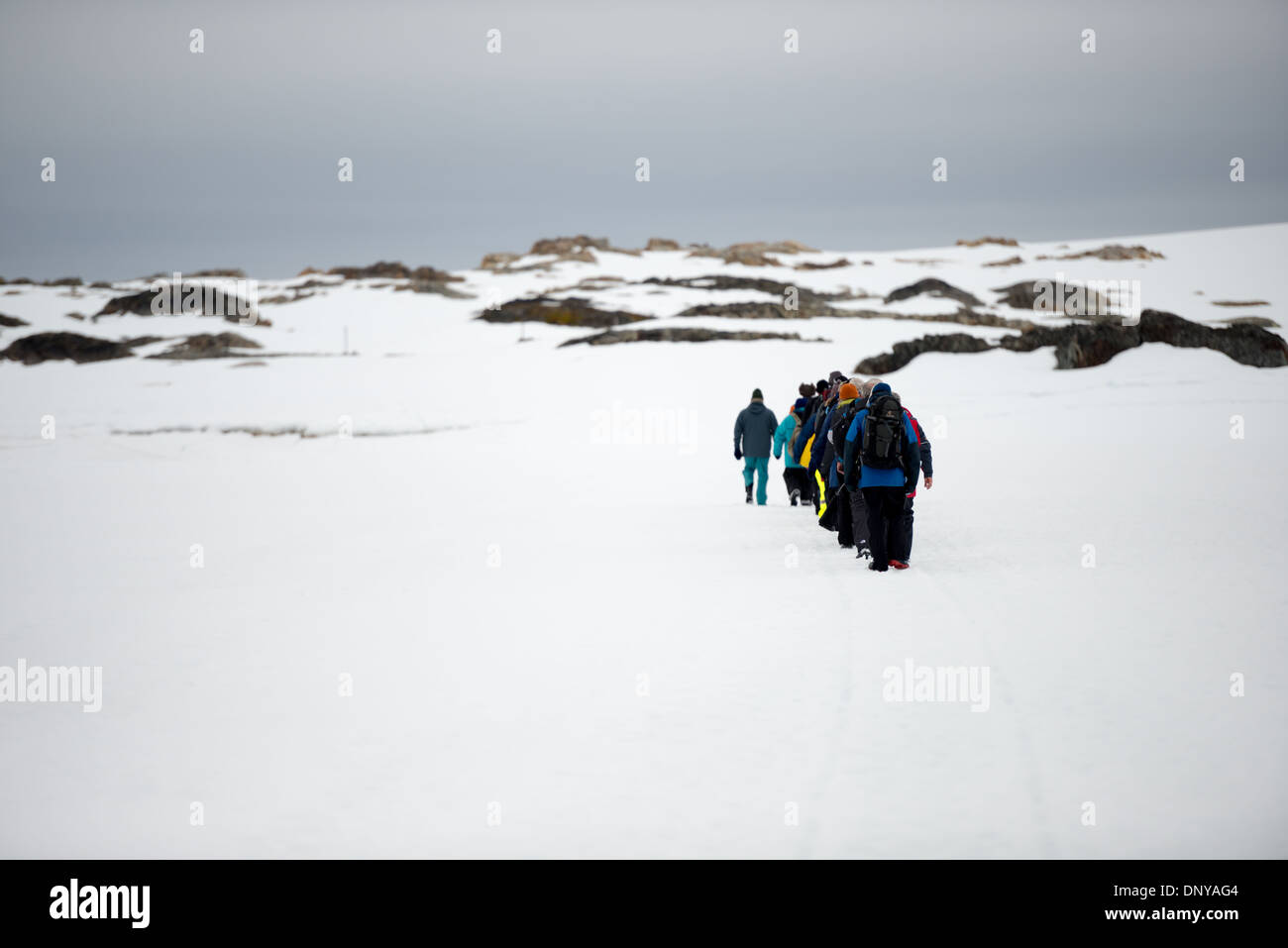 Walking in single file line hi-res stock photography and images - Alamy