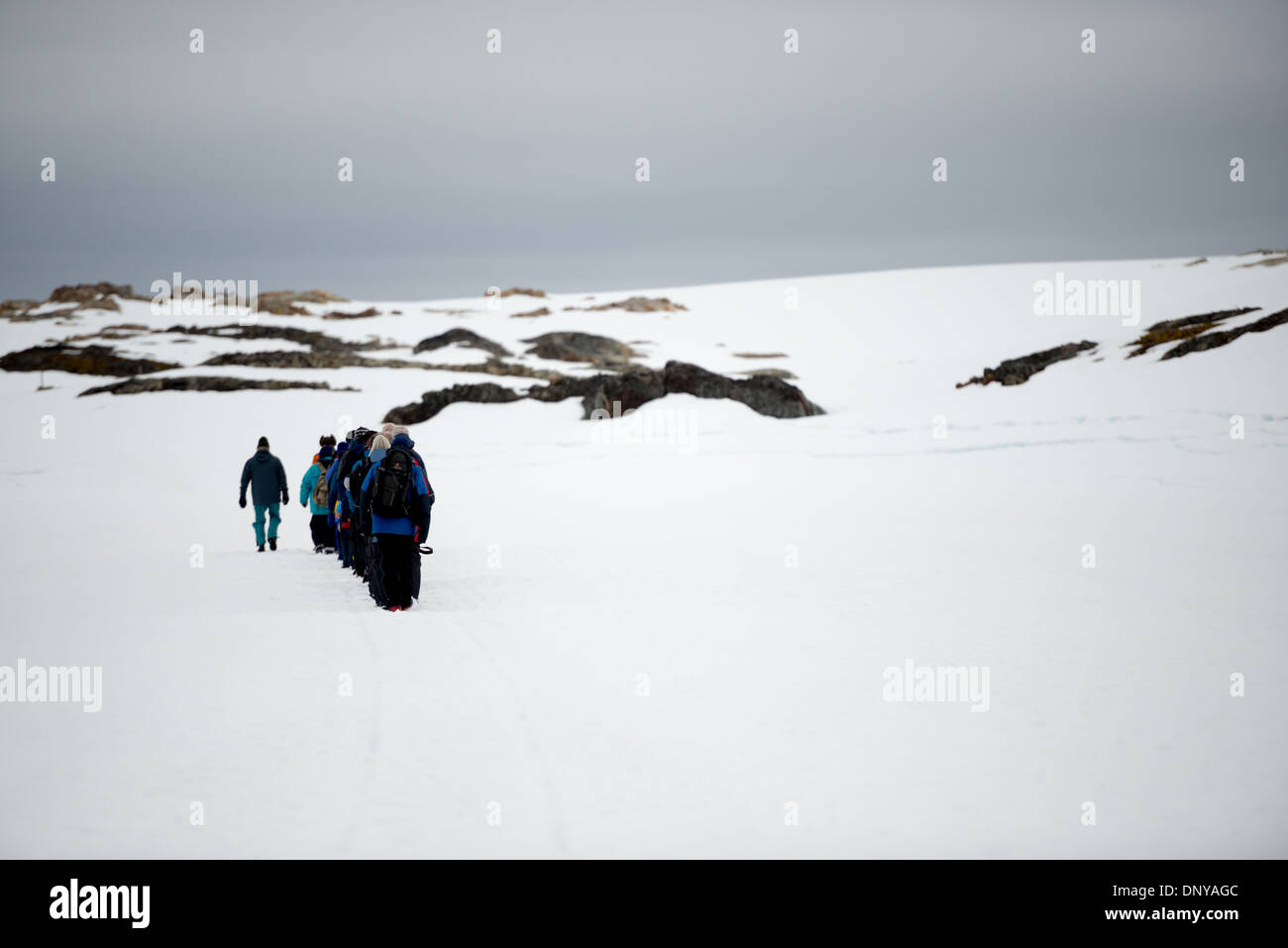 ANTARCTICA - A line of tourists walk in single file across the sea ice ...