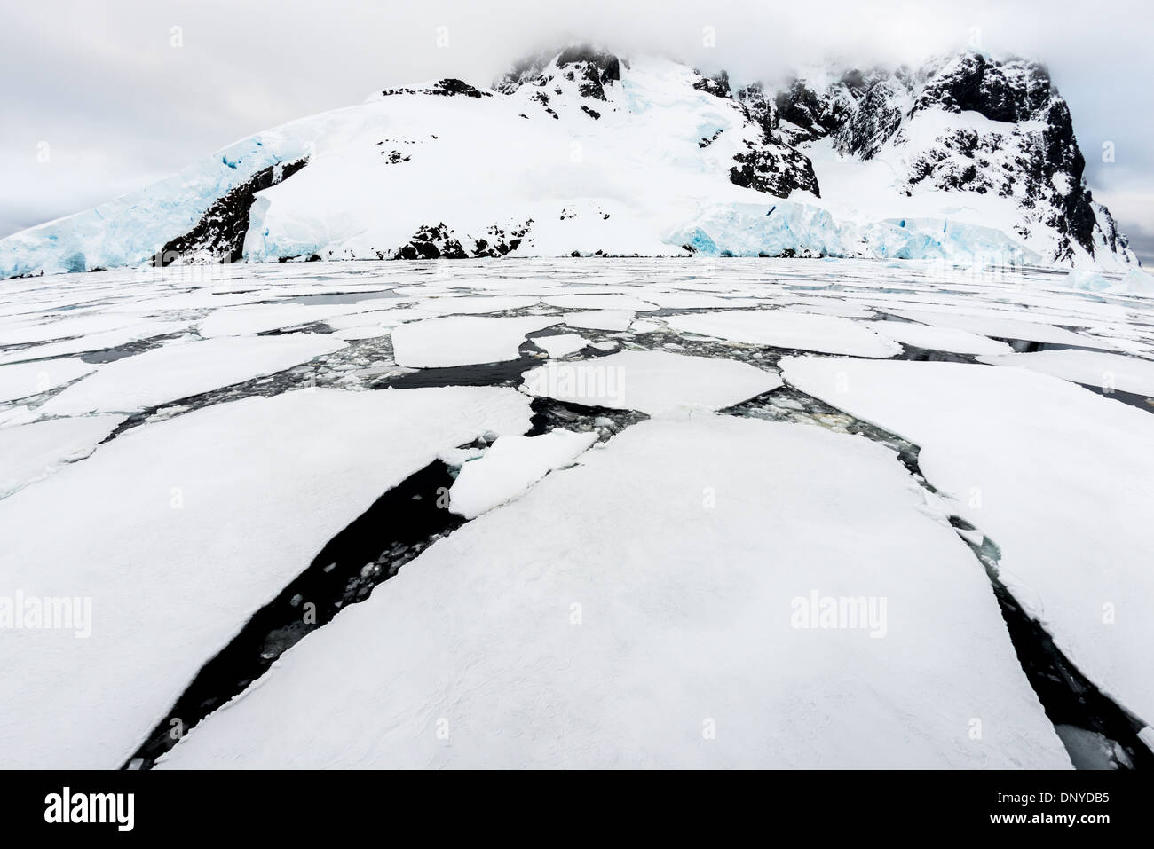 Antarctic ice plates hi-res stock photography and images - Alamy