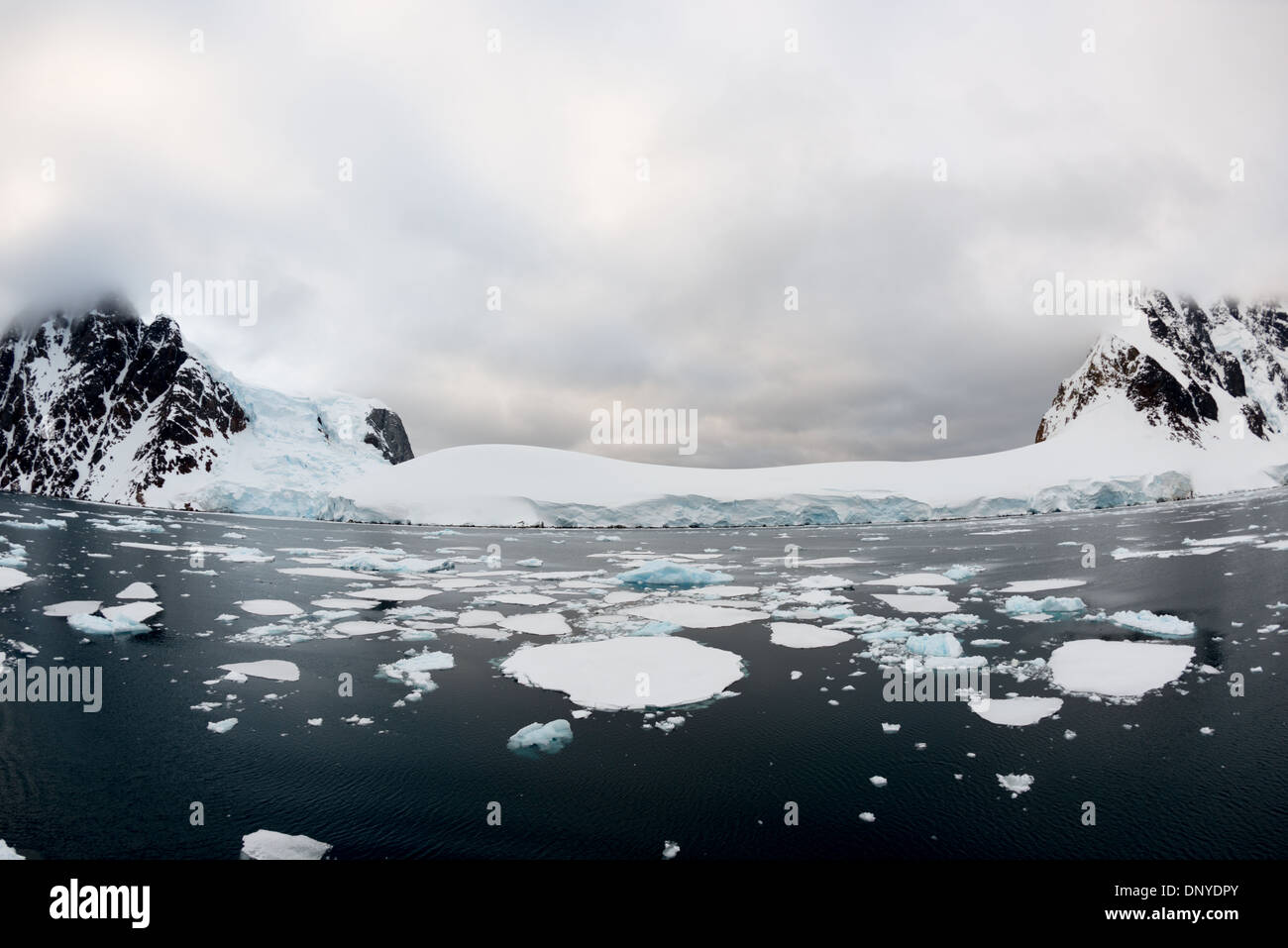 Antarctic ice plates hi-res stock photography and images - Alamy