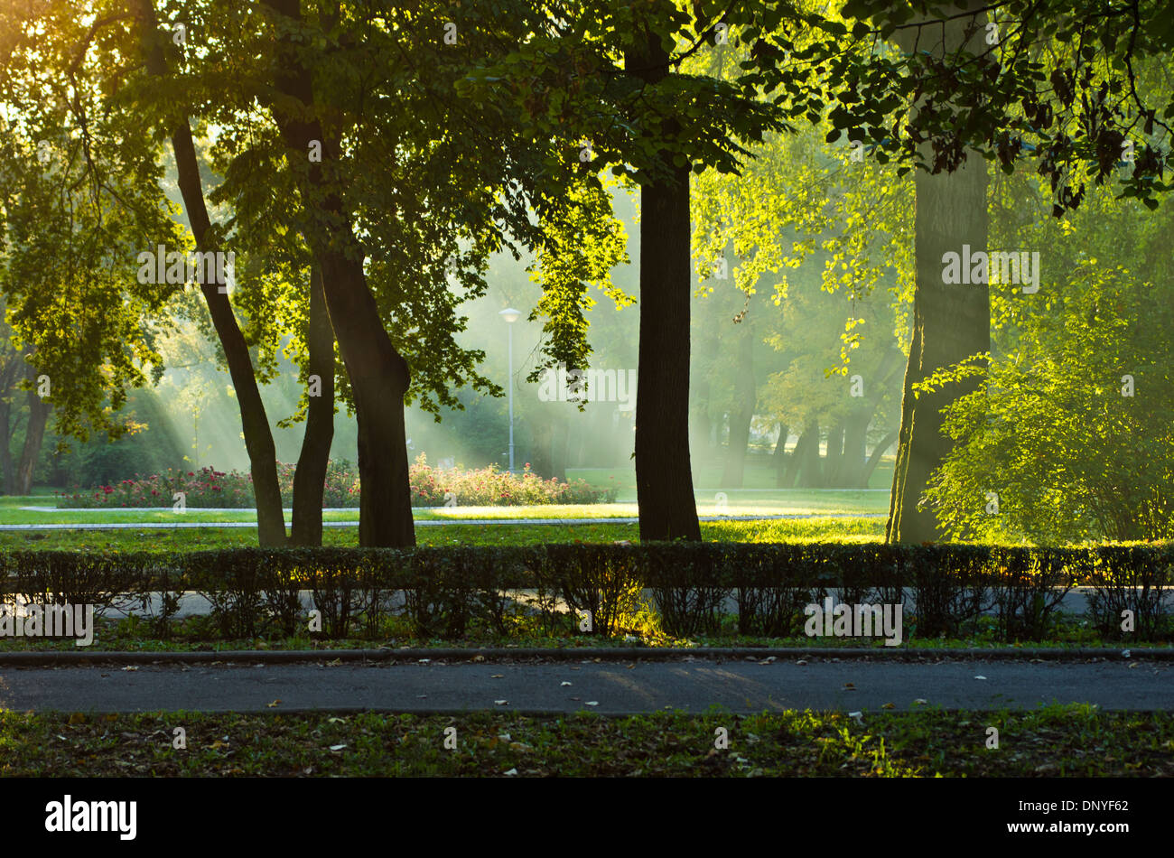 Topcider park belgrade hi-res stock photography and images - Alamy