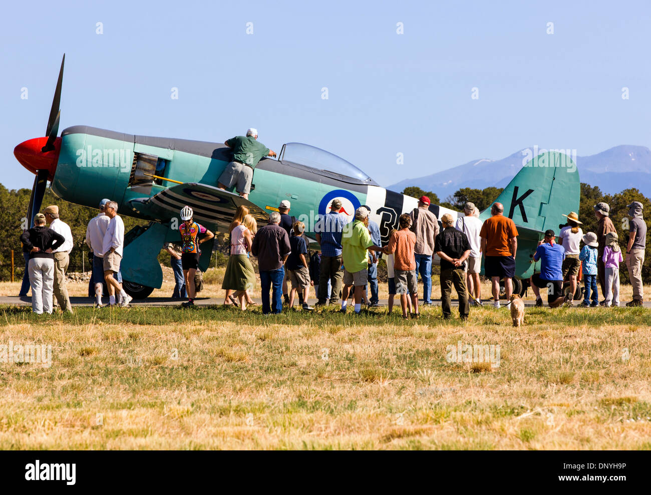 Flight of hawker fury and sea fury aircraft hi-res stock photography ...
