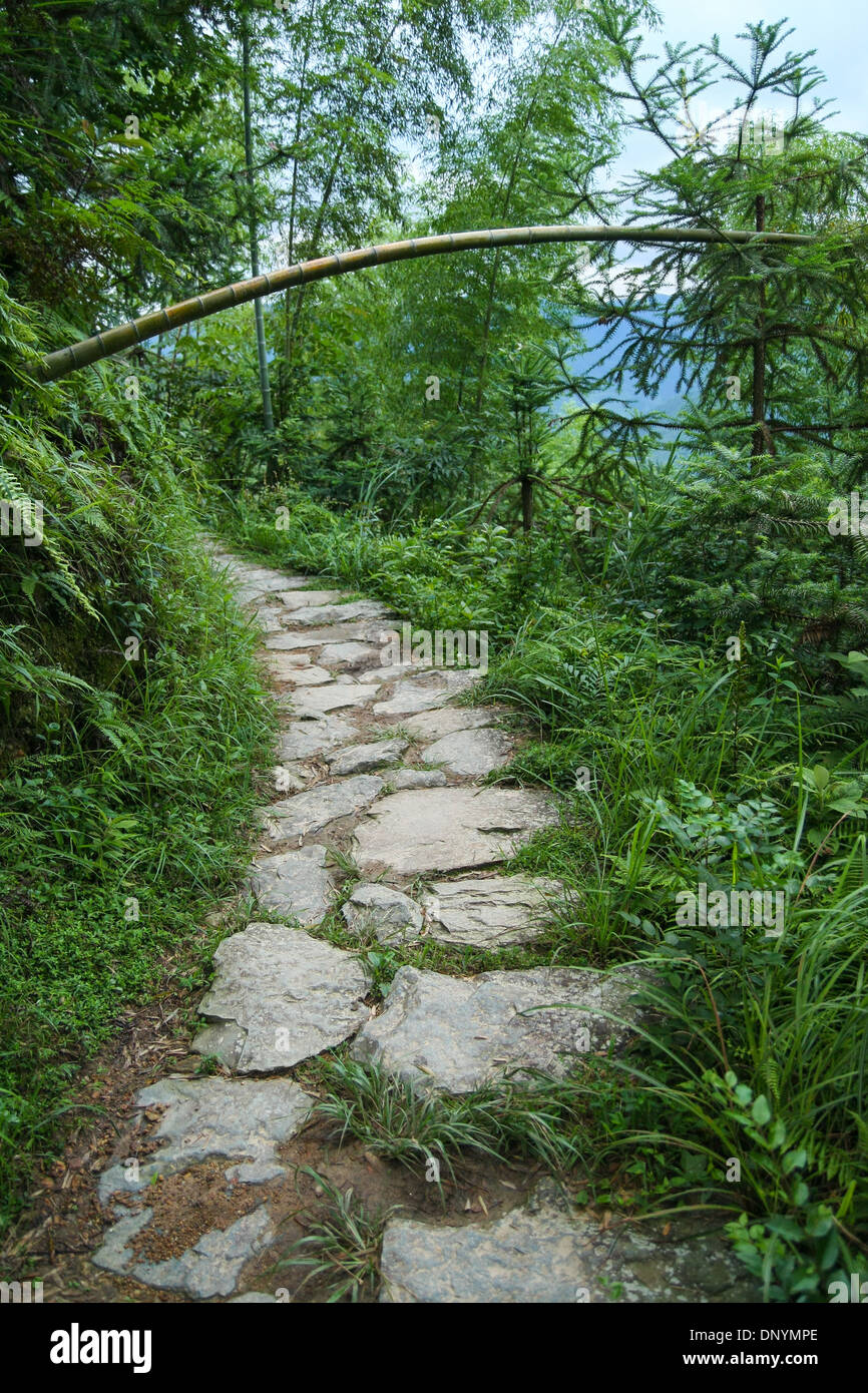 Stone path in chinese forest Stock Photo - Alamy